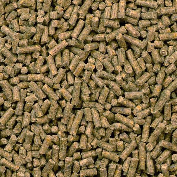 Voeding bij kippen :: Brandy-s-farm